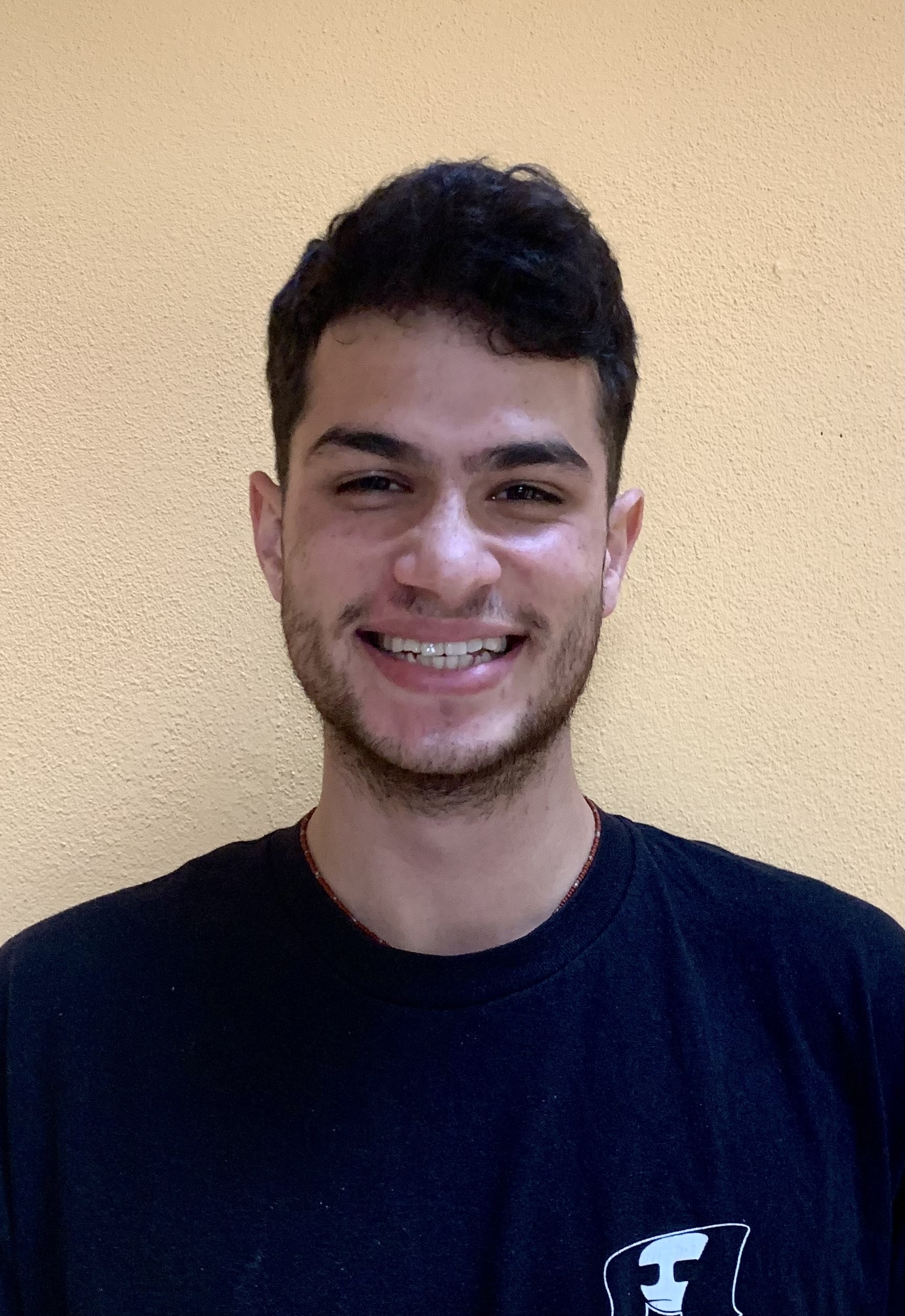 Landes, Daniel – Biological Physics and Morphogenesis